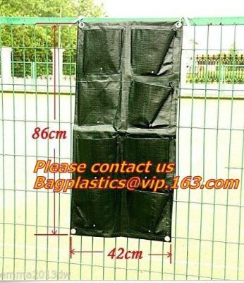 China waterproof 10 pockets non-woven fabric wall hanging flower bag, Felt Material and Grow Bags Type Planter Wall Grow Bag for sale