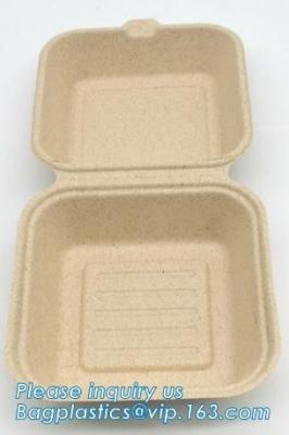 China biodegradable disposable corn starch tray compartment catering tray fruit packaging tray made from cornstarch for sale