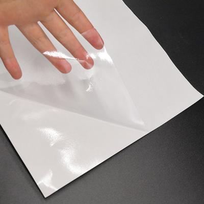 Cina Transparent Removable Vinyl Window Graphics Eco-Solvent Static Cling Film Roll in vendita