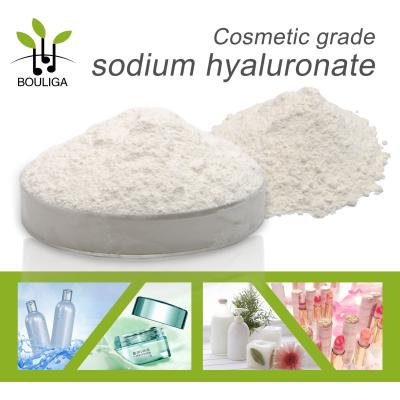China Cosmetic/Food/Medical grade Sodium Hyaluronic Acid Pure Hyaluronic acid Powder for sale