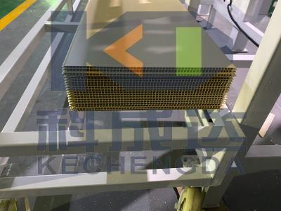 Cina Pvc Wpc macchine per pannelli da parete in plastica Legno in vendita
