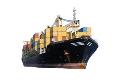 China Stable Large Space DDP Sea Shipping From China To United States for sale
