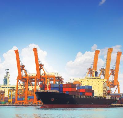 Cina Agente di trasporto marittimo di container da Paraguai alla Guyana Francese Servizio logistico della Guyana Speditore in vendita