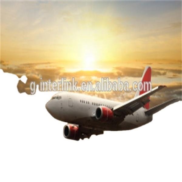 Quality Professional International Worldwide Express Freight In 4-12 Days Transit Time for sale