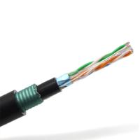 China Bare Copper Network CMX Armored CAT6 Ethernet Cable FTP Shielding Type for sale