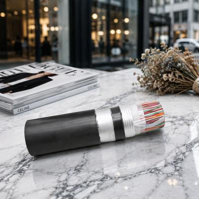 China Multi-Pairs Cat3 Telephone Cable - Changbao Indoor Outdoor Professional Telecommunication Cable for Structured Cabling for sale