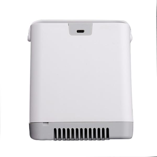 Quality Portable Mini Oxygen Concentrator Machine Spare Parts with Air Ionizer for sale
