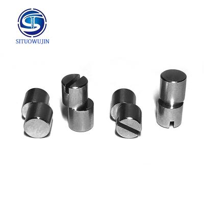 China 6MM Adjusting Pin Shaft Stainless Steel Integral Eccentric  CNC Hardware for sale