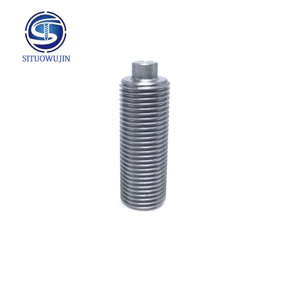 Quality M8 Fine Adjustment Screw SS310 Protruding End Locking Stop Precision Headless Screw for sale