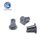 China SS304 Cold Heading  Rivet, Precision Fastener Hardware for Connection for sale