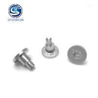 China Custom Eccentric Offset SUS304 Stainless Steel Cold Formed Countersunk Rivet for Tooling Adaptation for sale