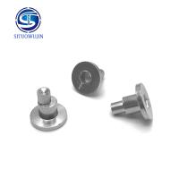 China Custom Eccentric Offset SUS304 Stainless Steel Cold Formed Countersunk Rivet for Tooling Adaptation for sale