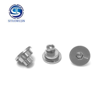 China Custom 304 Stainless Steel Flat Head Hex Socket Rivet with Cold Heading Forming for Hinge Pivot Connections for sale