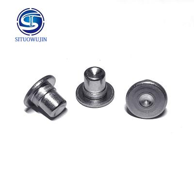China Custom SUS304 Stainless Steel Rivet, Cold Forging & CNC Machined Rivet for Architectural Hardware, Smart Bracket, Slide Brace and Guide Rail Riveting Fixing for sale