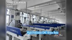Custom CNC Brass Square Nuts High Precision Auto Parts