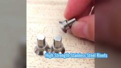 ISO16585 Stainless Steel Rivets for Heavy Duty Hinges