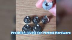 Precision Stainless Steel Eccentric Rivets for Hardware