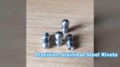 Precision Stainless Steel Rivets for Industrial Hinges