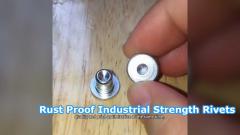 High Strength Stainless Steel Rivets for Industrial Use