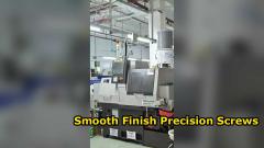 Stainless Steel Ball Head Screws for Precision Assembly