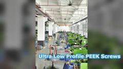 PEEK Low Profile Hex Screw for Precision Assembly