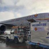 Cina Shanghai China To United States Transportation Ddp Door To Door Cargo Delivery Services in vendita