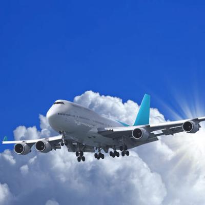 Cina Fedex Global International Air Freight Forwarding Solutions China Shanghai To Brazil in vendita