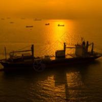 China Import Export Freight Forwarding Process China Exports To Global Shipping for sale