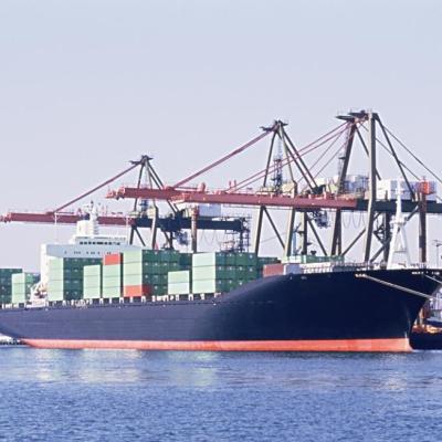 China O agente internacional o mais barato Shanghai To Saudi Arábia DDP dos remetentes do transporte do mar e do ar à venda