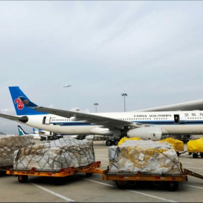 Cina Shanghai China To United States Transportation Ddp Door To Door Cargo Delivery Services in vendita