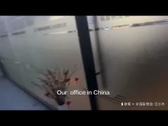 Merci aviotrasportate precise di DHL Dropshipping internazionale da SHANGHAI Cina a più veloce sudamericano