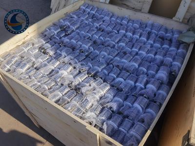 Cina SS316L OD 57mm Spurghi per schermo ad alta pressione a filo di cuneo in vendita