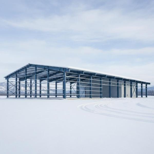 Quality Q355b Metal Frame Warehouse Robust Metal Buildings Office Warehouse for sale