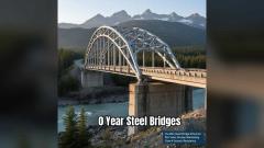Steel Bridges Built to Last 0 Years
