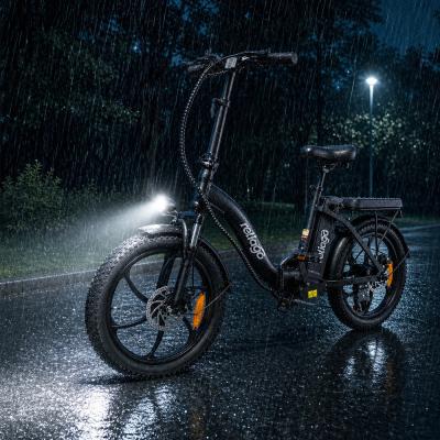 China Reliago 3W LED E-Bike Headlight Front Bicycle Light for Hitway BK6 Electric Bike Waterproof 2-Pin Cable for sale