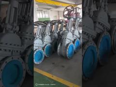 WCB WCC CF8 CF3 2205 Gate valve