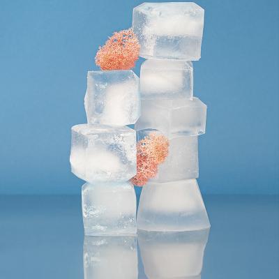 Cina Potente macchina per ghiaccio LZ-3300 per alberghi 1500 kg 24 ore Grande capacità Ice Cube Maker in vendita