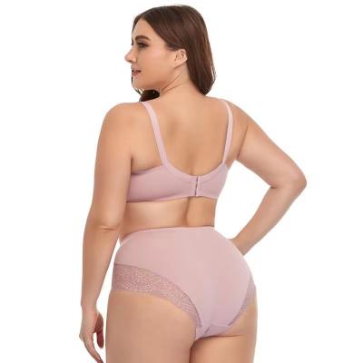 Cina L'OEM più il reggiseno di dimensione mette il reggiseno respirabile sostenibile della biancheria intima sexy del pizzo ed i brevi insiemi in vendita