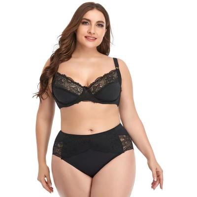 Cina L'OEM più il reggiseno di dimensione mette il reggiseno respirabile sostenibile della biancheria intima sexy del pizzo ed i brevi insiemi in vendita