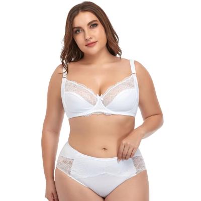 Cina L'OEM più il reggiseno di dimensione mette il reggiseno respirabile sostenibile della biancheria intima sexy del pizzo ed i brevi insiemi in vendita