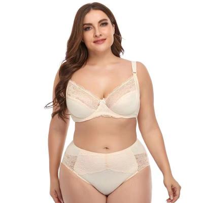 Cina L'OEM più il reggiseno di dimensione mette il reggiseno respirabile sostenibile della biancheria intima sexy del pizzo ed i brevi insiemi in vendita