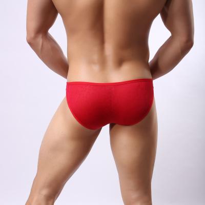 Cina Biancheria intima del pugile degli uomini respirabili dell'elastam di aumento degli adulti sexy bassi di nylon della biancheria intima in vendita