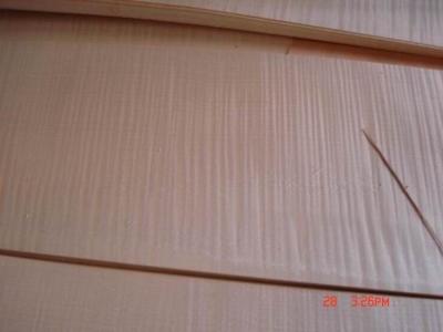 China Natural Figured Maple Wood Veneer Sheet Quarter Cut for sale