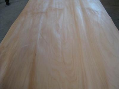 China Factory Of Rotary Cut Agathis Veneer Sheet For Lamination , MDF for sale