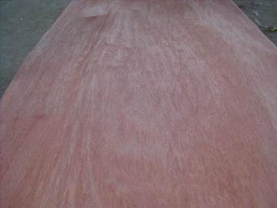 China 4' x 8' Bintangor Veneer For Plywood , MDF , Furniture for sale