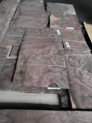 China Sliced Cut Natural American Walnut Burl Wood Veneer Sheet for sale