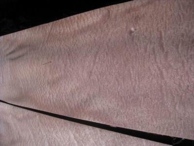 China Vernisje van de Sapele het Pommele Voorgestelde Esdoorn voor Triplexdeur, Dikke 0.5mm Te koop