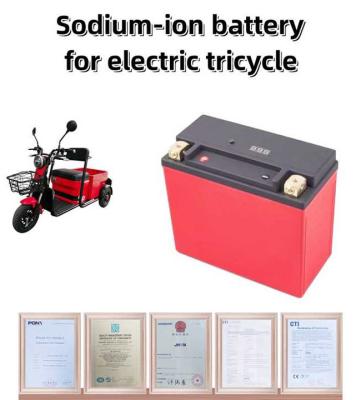 China 40140 48V 49.6V 30Ah natrium-ion batterij voor e-fiets / elektrische fiets / driewieler Te koop