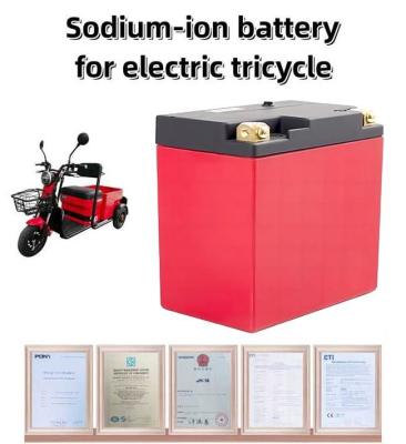 China 40140 12S1P 36V Bateria de íons de sódio para veículos elétricos à venda