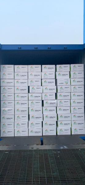 Quality Cream Colored 1200cps Stabilizing Agent 200mesh Xanthan Gum Bulk for sale